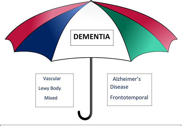 Umbrella Of Dementia | Wood River Weekly